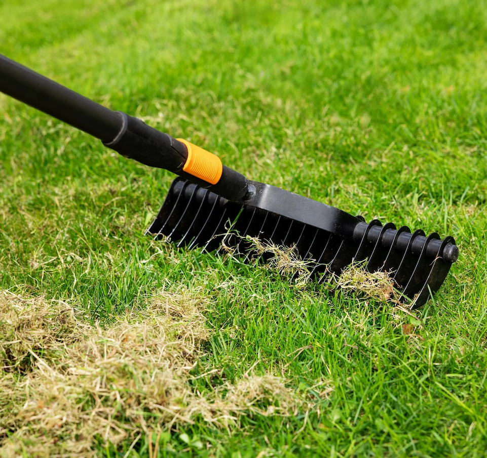 RESIDENTIAL Lawn Solutions - ServiScape